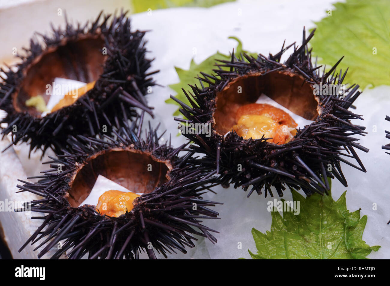 Seeigel essen -Fotos und -Bildmaterial in hoher Auflösung – Alamy