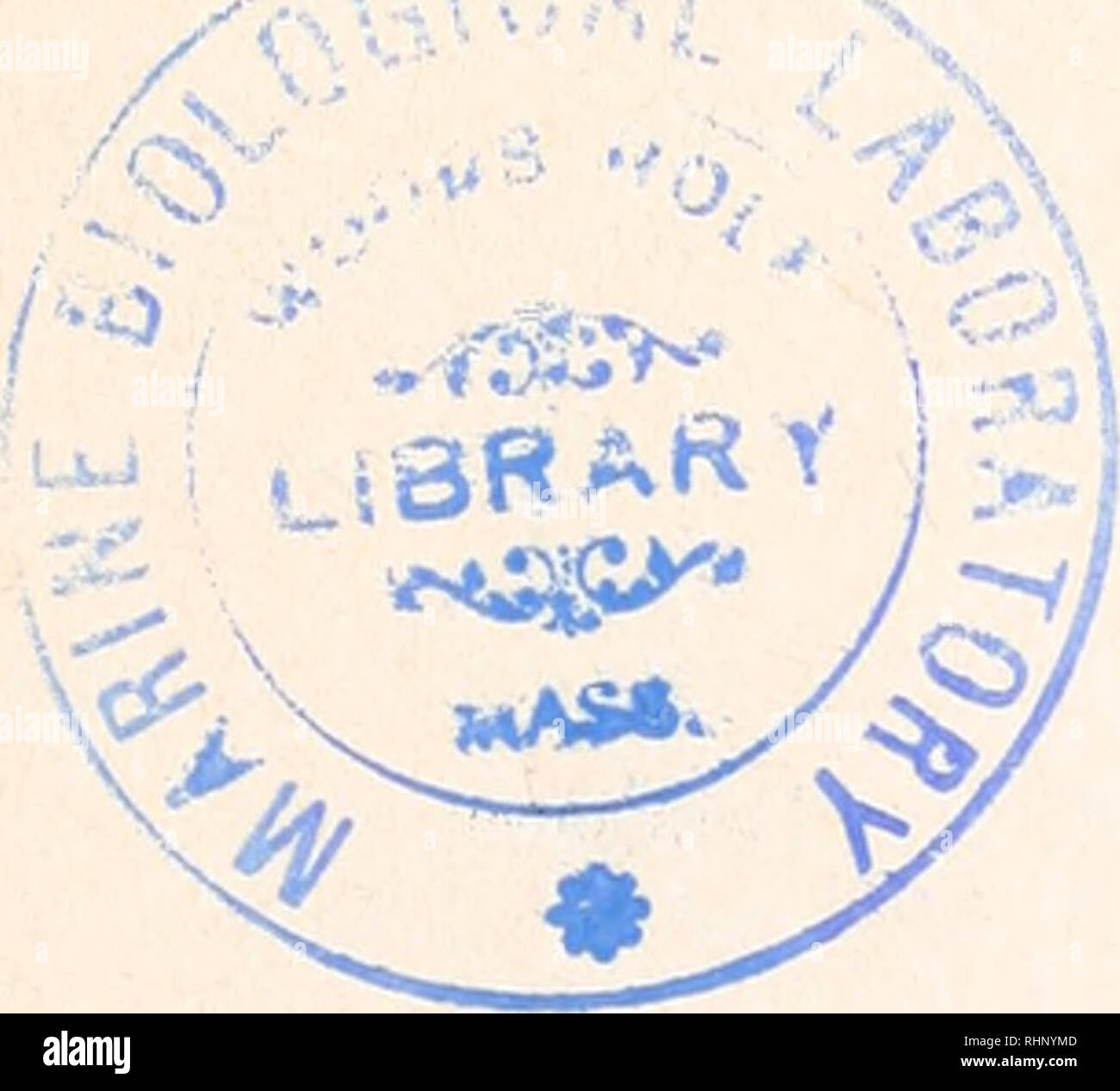 Lochhead und braun -Fotos und -Bildmaterial in hoher Auflösung – Alamy