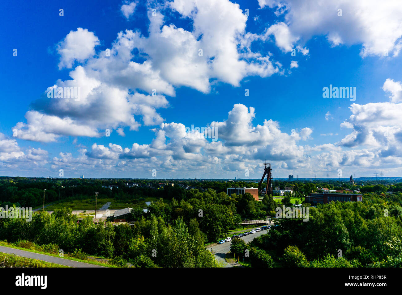 Halde hoheward herten -Fotos und -Bildmaterial in hoher Auflösung – Alamy