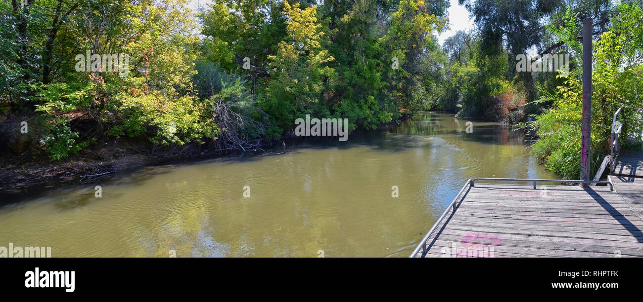 Blick auf Jordan River Trail mit umgebenden Bäume, Russische Olive ...