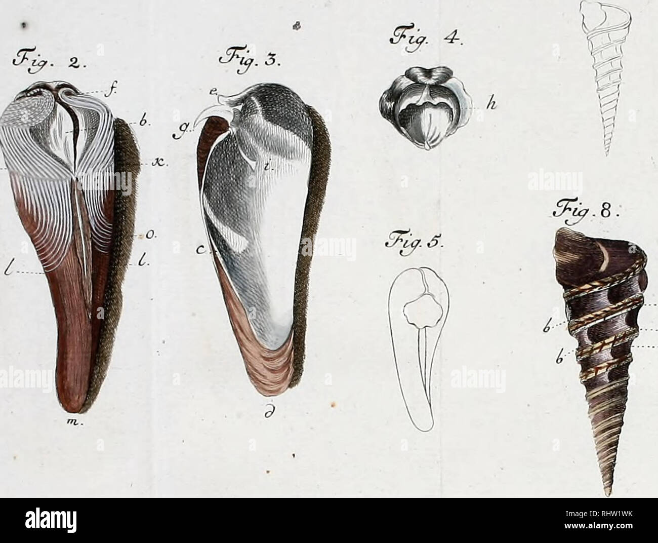 Benjamin martini -Fotos und -Bildmaterial in hoher Auflösung – Alamy
