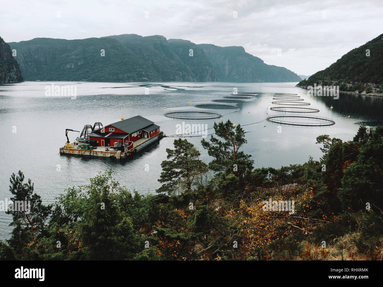 Norway Fjord Salmon Stockfotos und -bilder Kaufen - Alamy
