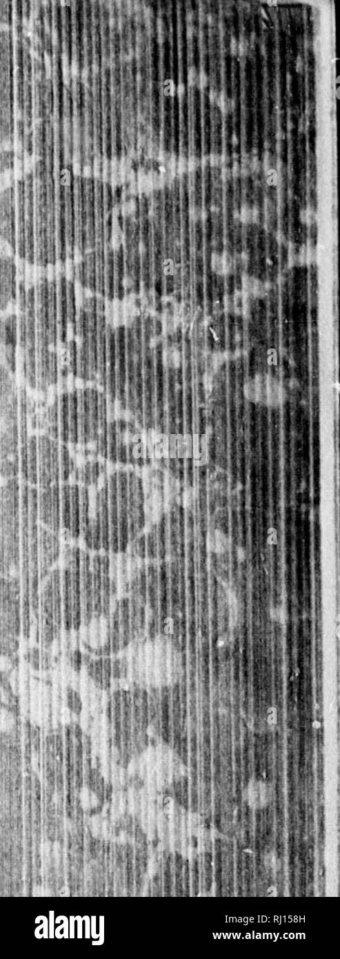 . Erde, Meer und Himmel, oder, Wunder des Universums [microform]: Eine ...