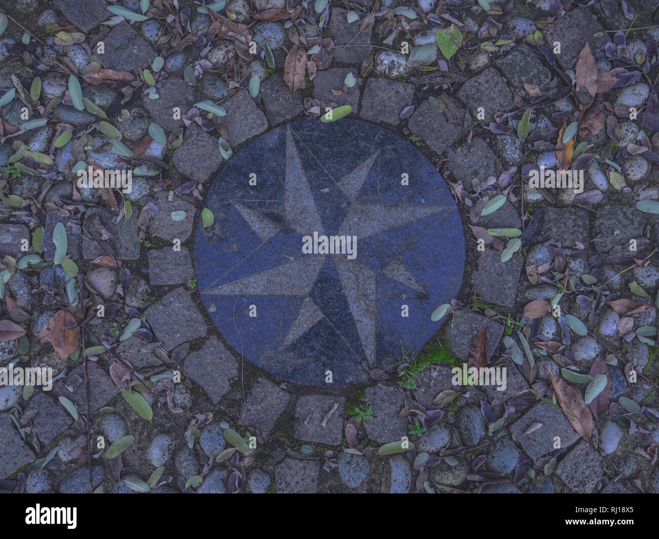 Pavement compass -Fotos und -Bildmaterial in hoher Auflösung – Alamy