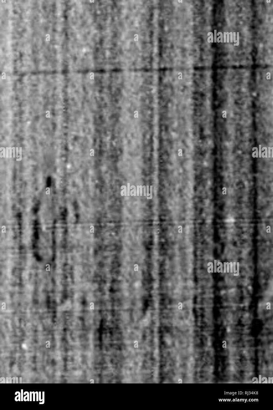 . Die Fische aus Nord- und Mittelamerika [microform]: Ein ...