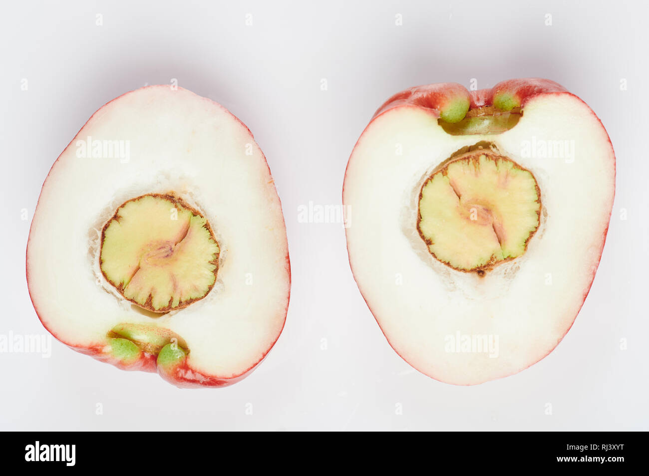 Zwei halbe -Fotos und -Bildmaterial in hoher Auflösung – Alamy