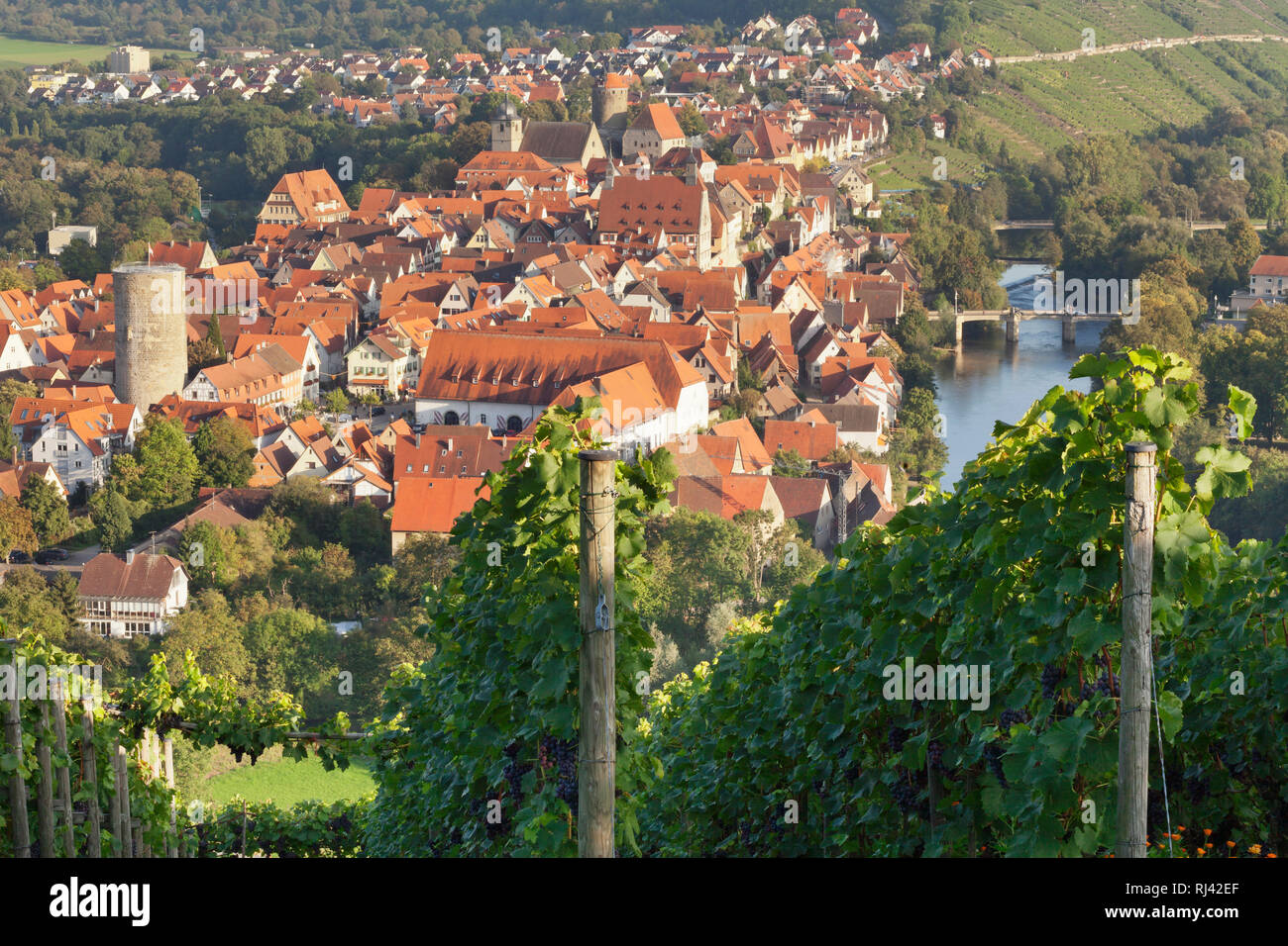 Altstadt von Besigheim mit Schochemturm, Rathaus, Waldhornturm und ...