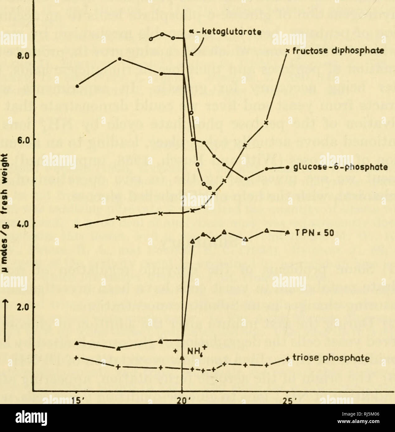 . Ciba Foundation Symposium über die Verordnung des Zellstoffwechsels ...