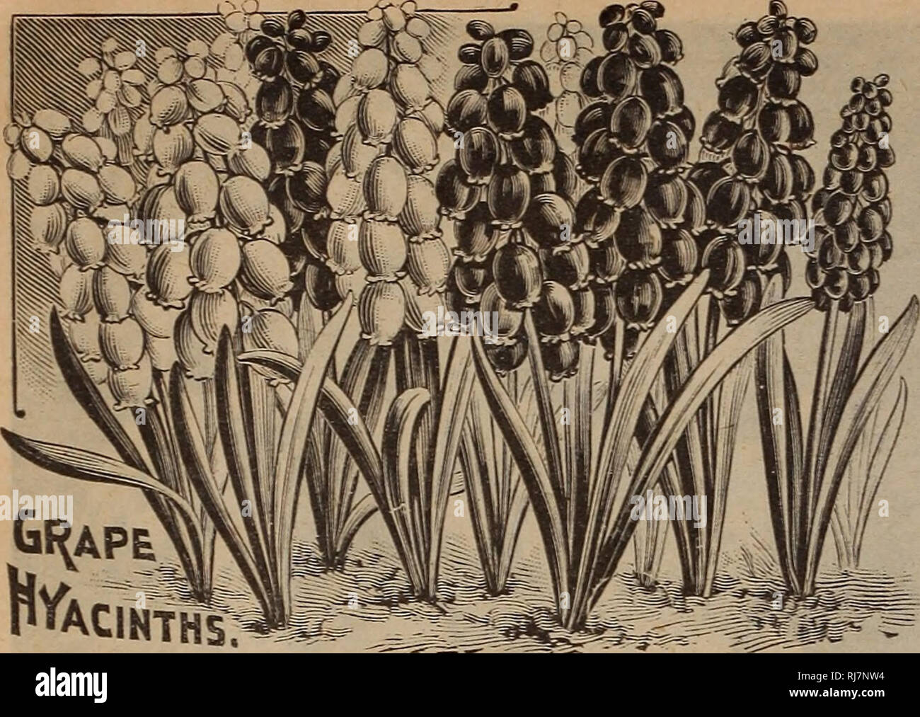 . Childs' fallen Katalog: Kein Verkauf abgeschlossen, bis unser Kunde ...