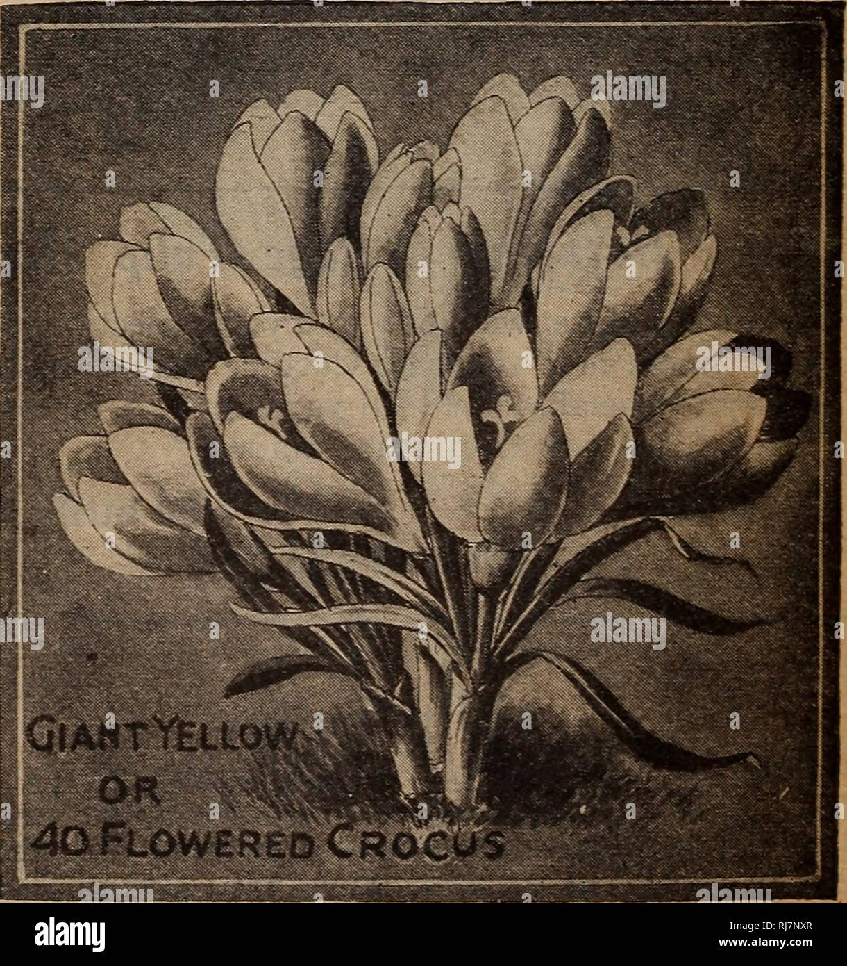 . Childs' fallen Katalog: Kein Verkauf abgeschlossen, bis unser Kunde ...