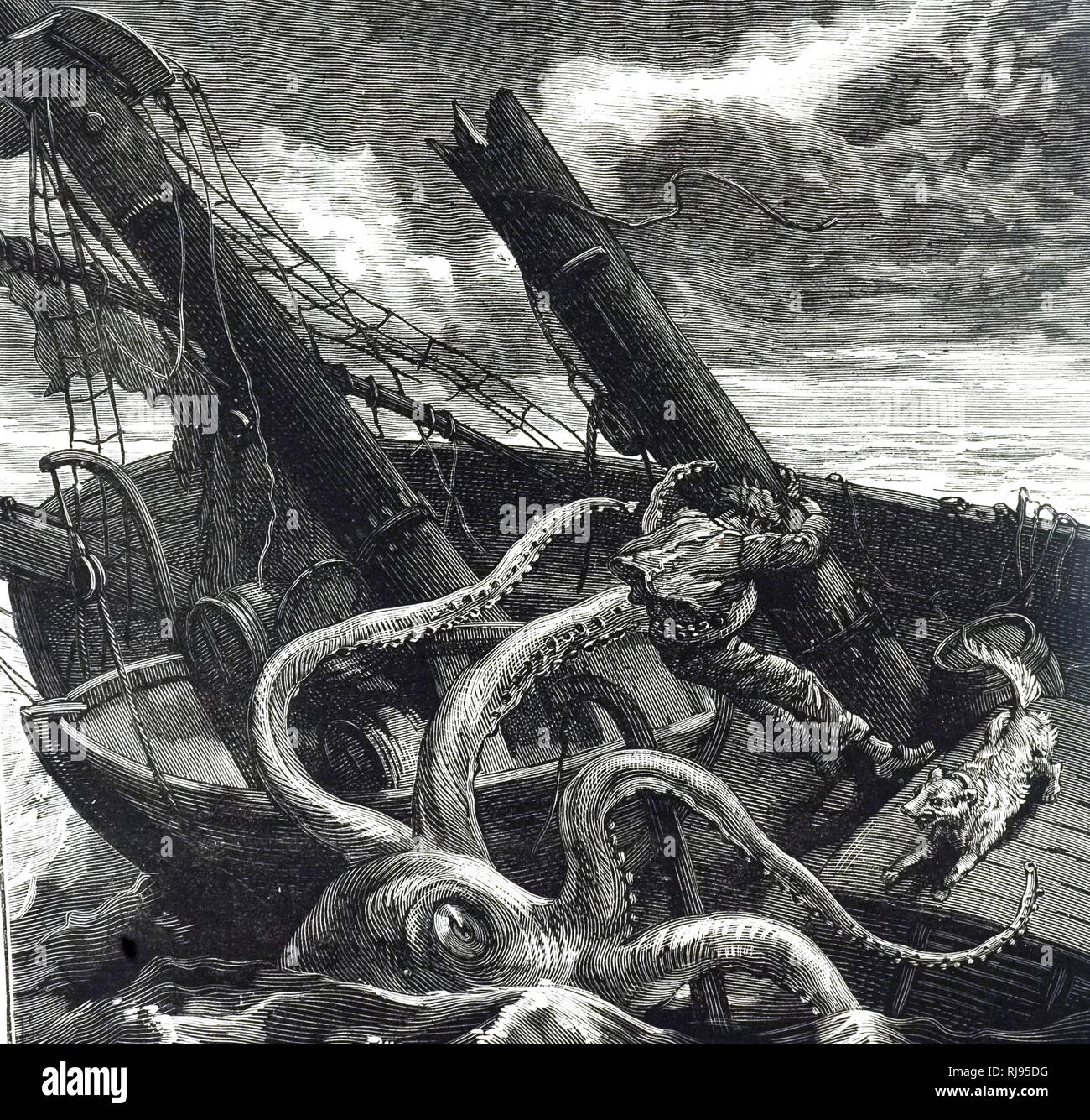 Giant octopus historical -Fotos und -Bildmaterial in hoher Auflösung ...