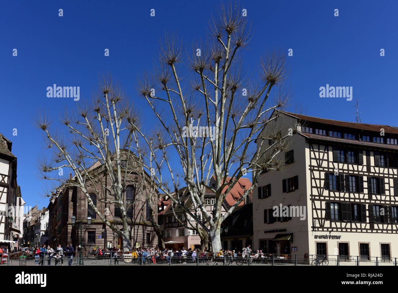 Strasbourg square -Fotos und -Bildmaterial in hoher Auflösung – Alamy