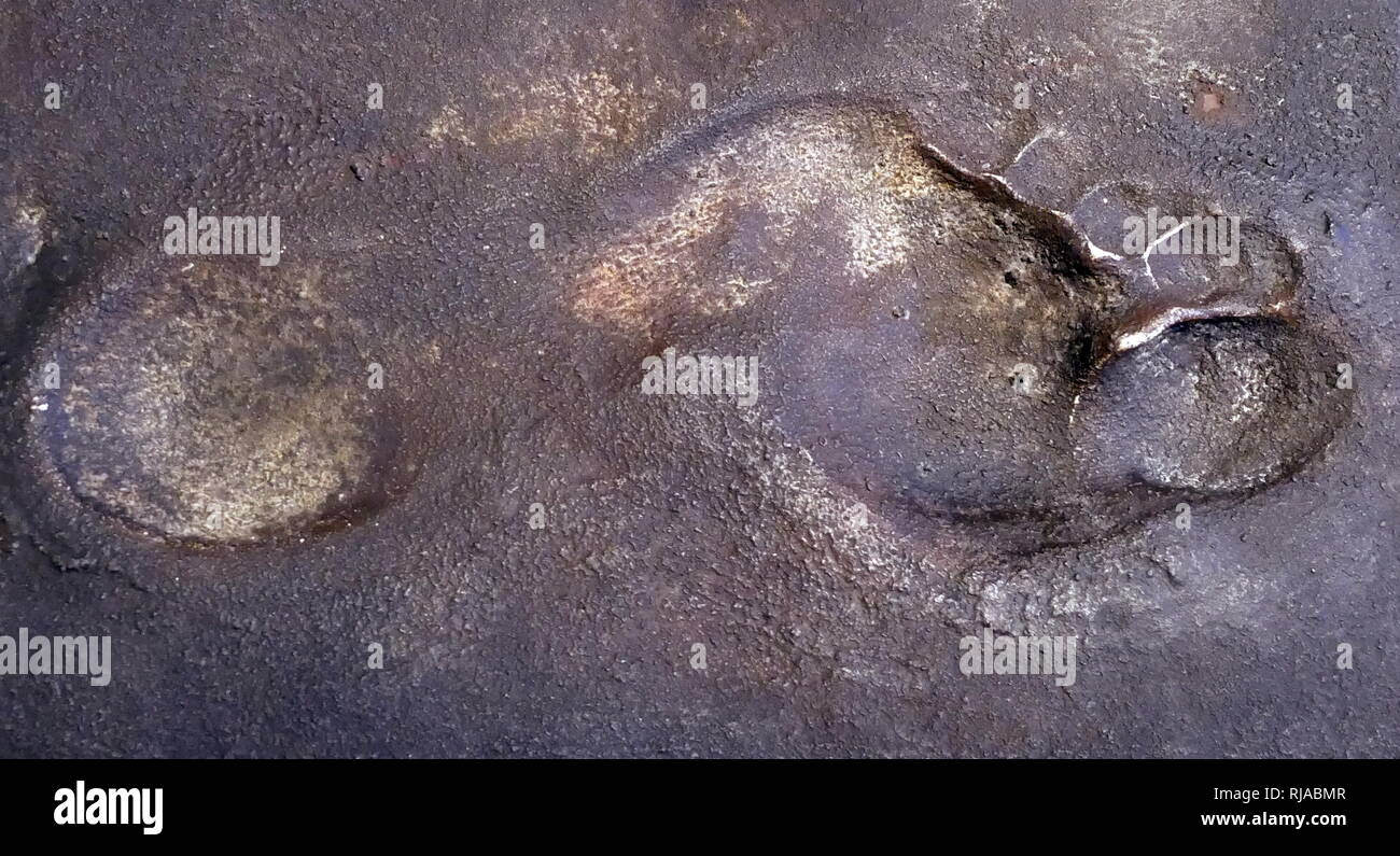 Laetoli footprints -Fotos und -Bildmaterial in hoher Auflösung – Alamy