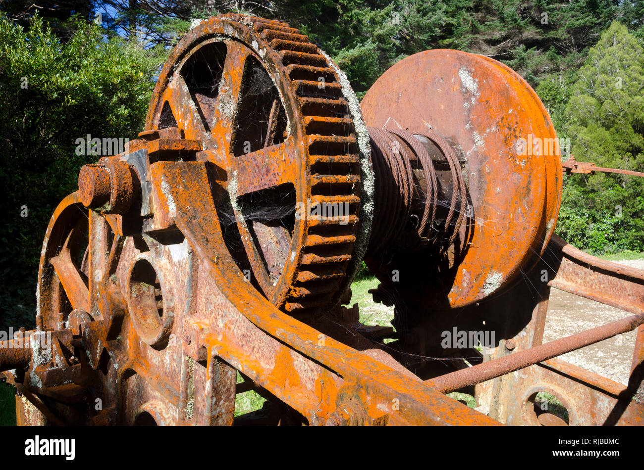 Akatarawa forest park -Fotos und -Bildmaterial in hoher Auflösung – Alamy