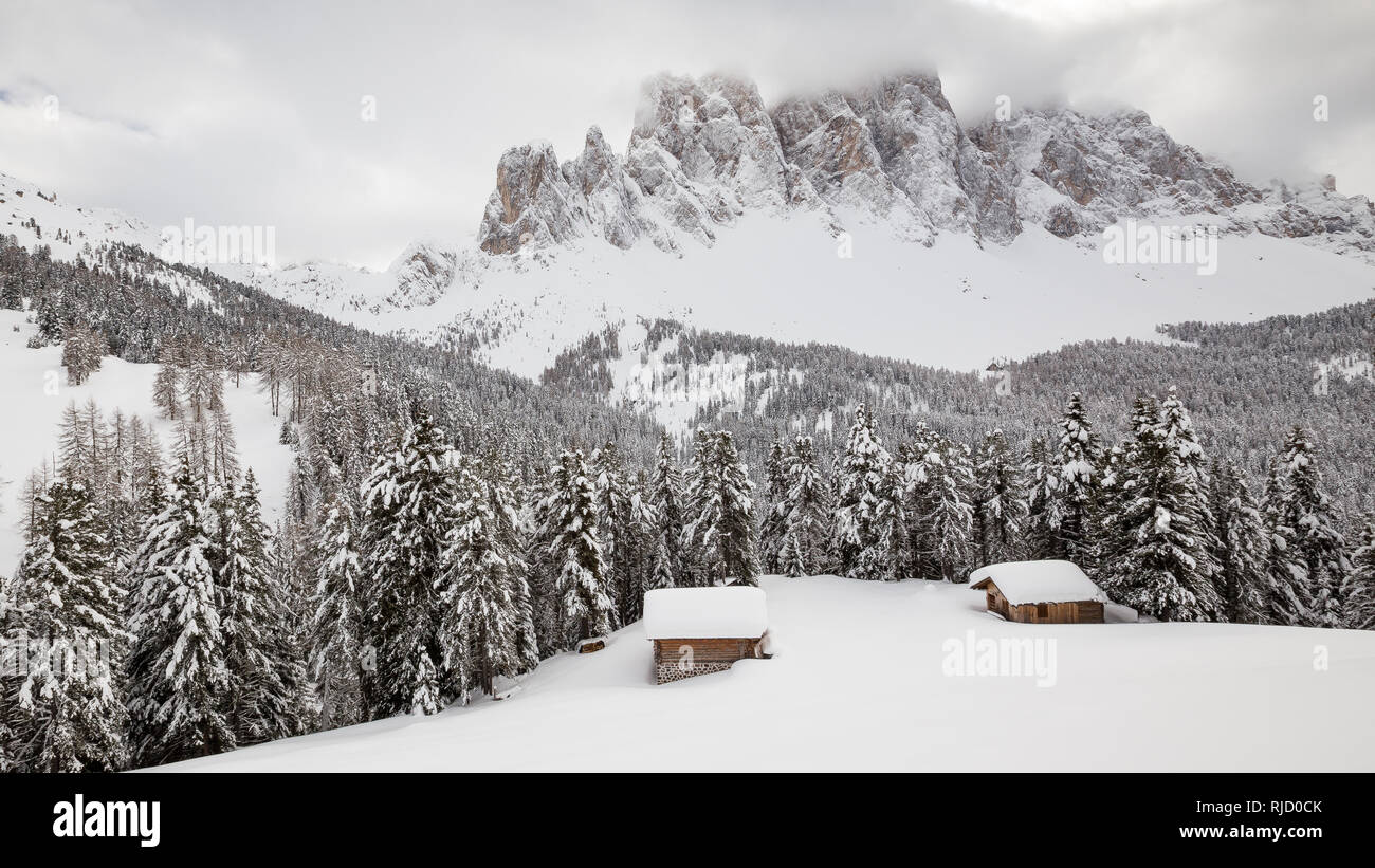 Winter tal und nadelwald waldlandschaft -Fotos und -Bildmaterial in ...