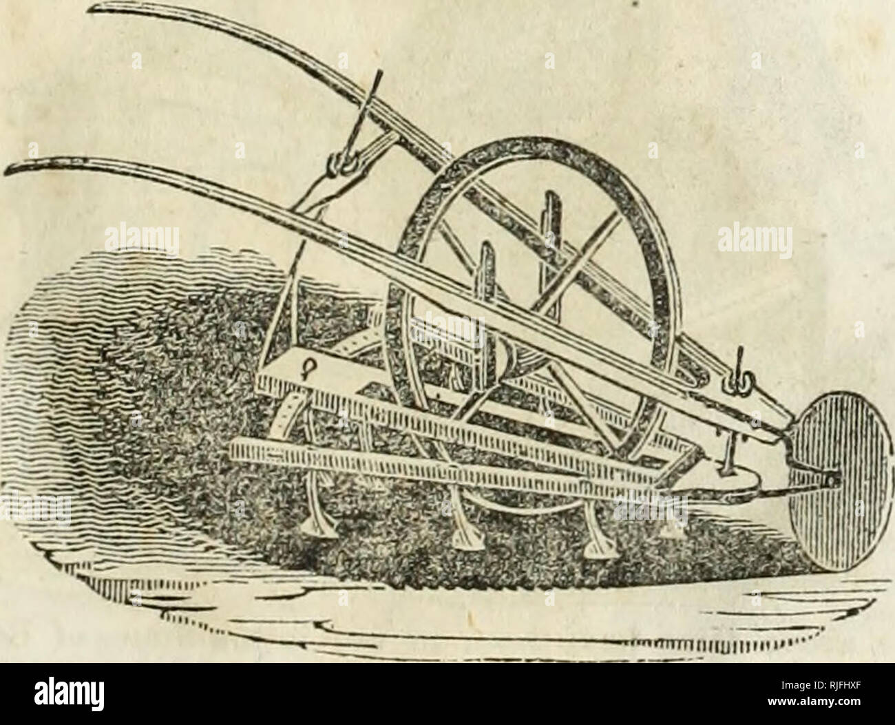 . Katalog der Gemüse, Kraut, Baum, Blumen und Gras Samen, Knollen Blume ...