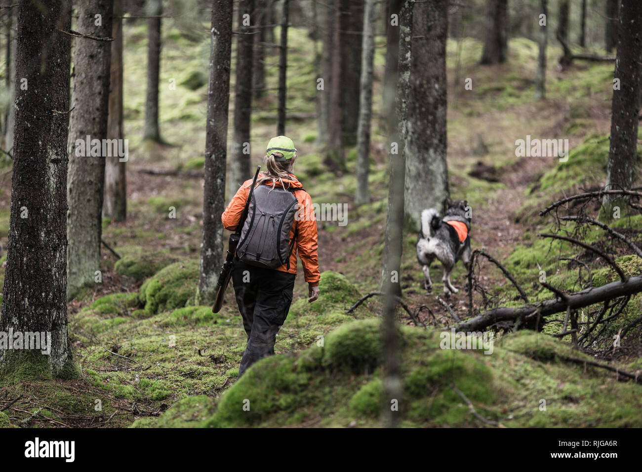 Der jäger im wald -Fotos und -Bildmaterial in hoher Auflösung – Alamy