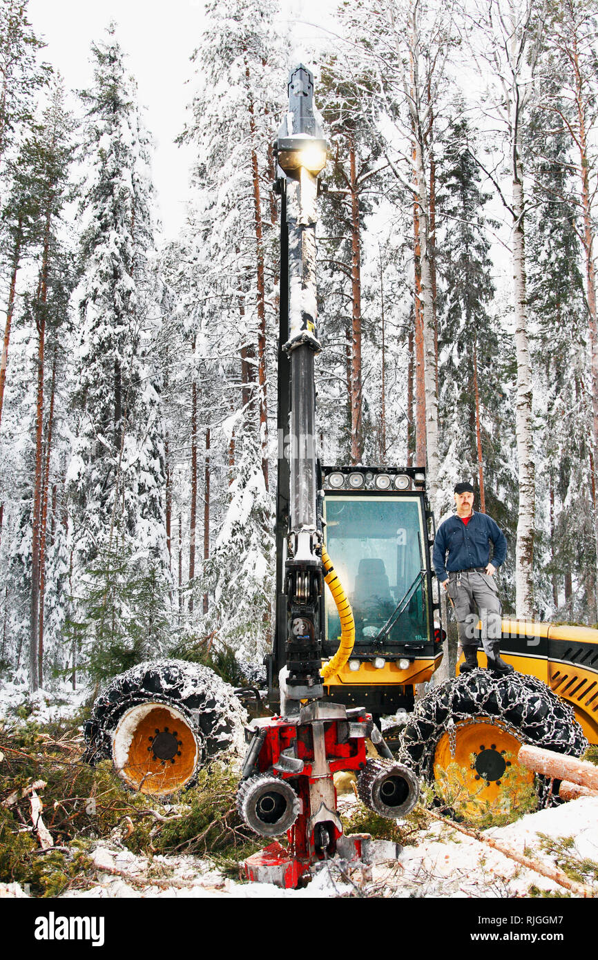 Felling machine -Fotos und -Bildmaterial in hoher Auflösung – Alamy