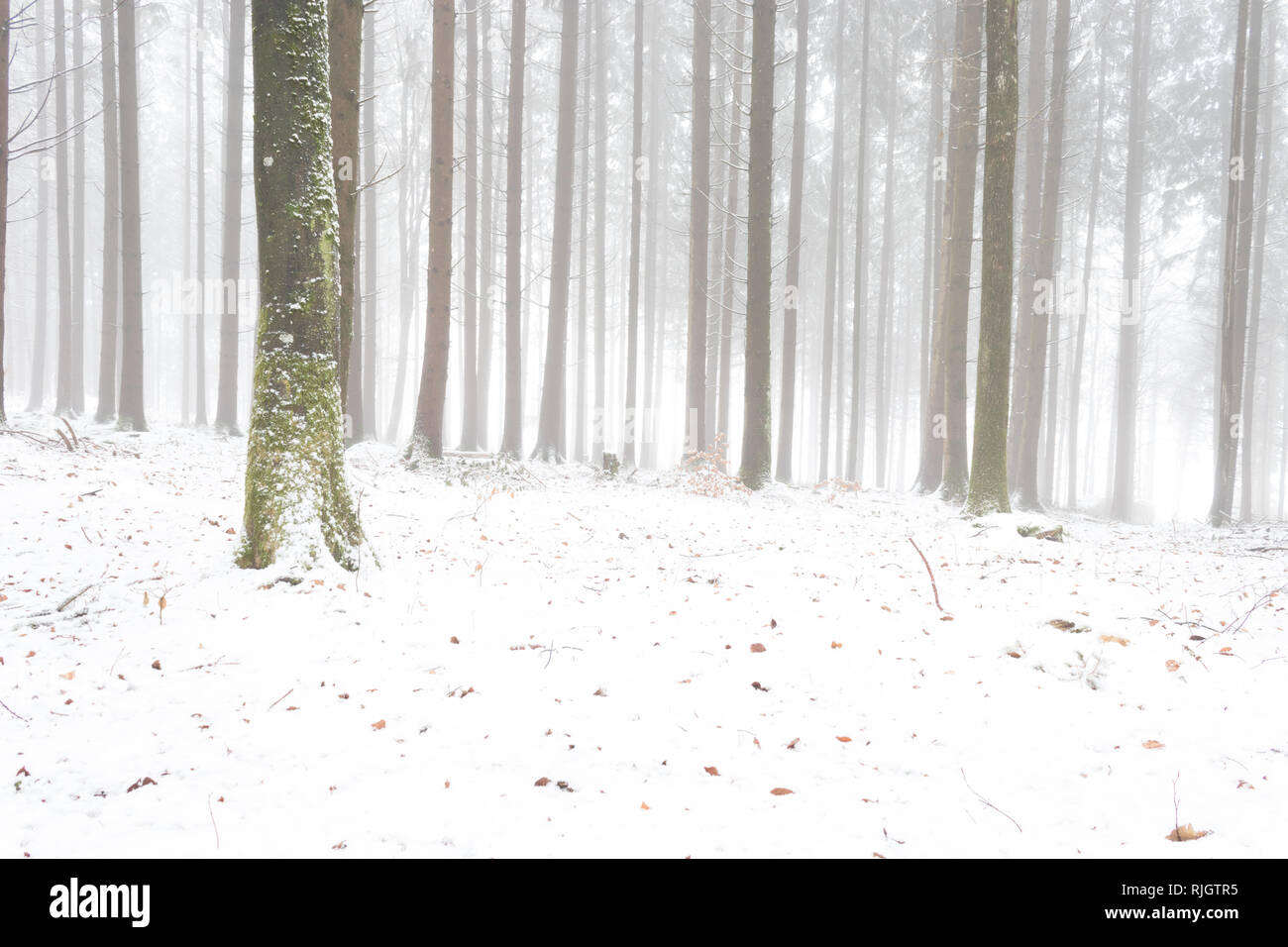 Natur wallpaper hintergrund -Fotos und -Bildmaterial in hoher Auflösung ...