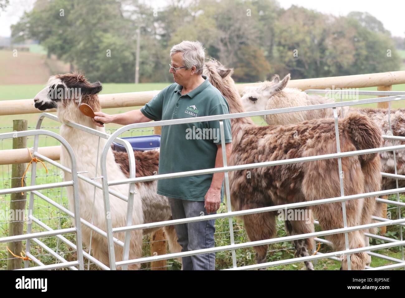Candia mccormack -Fotos und -Bildmaterial in hoher Auflösung – Alamy