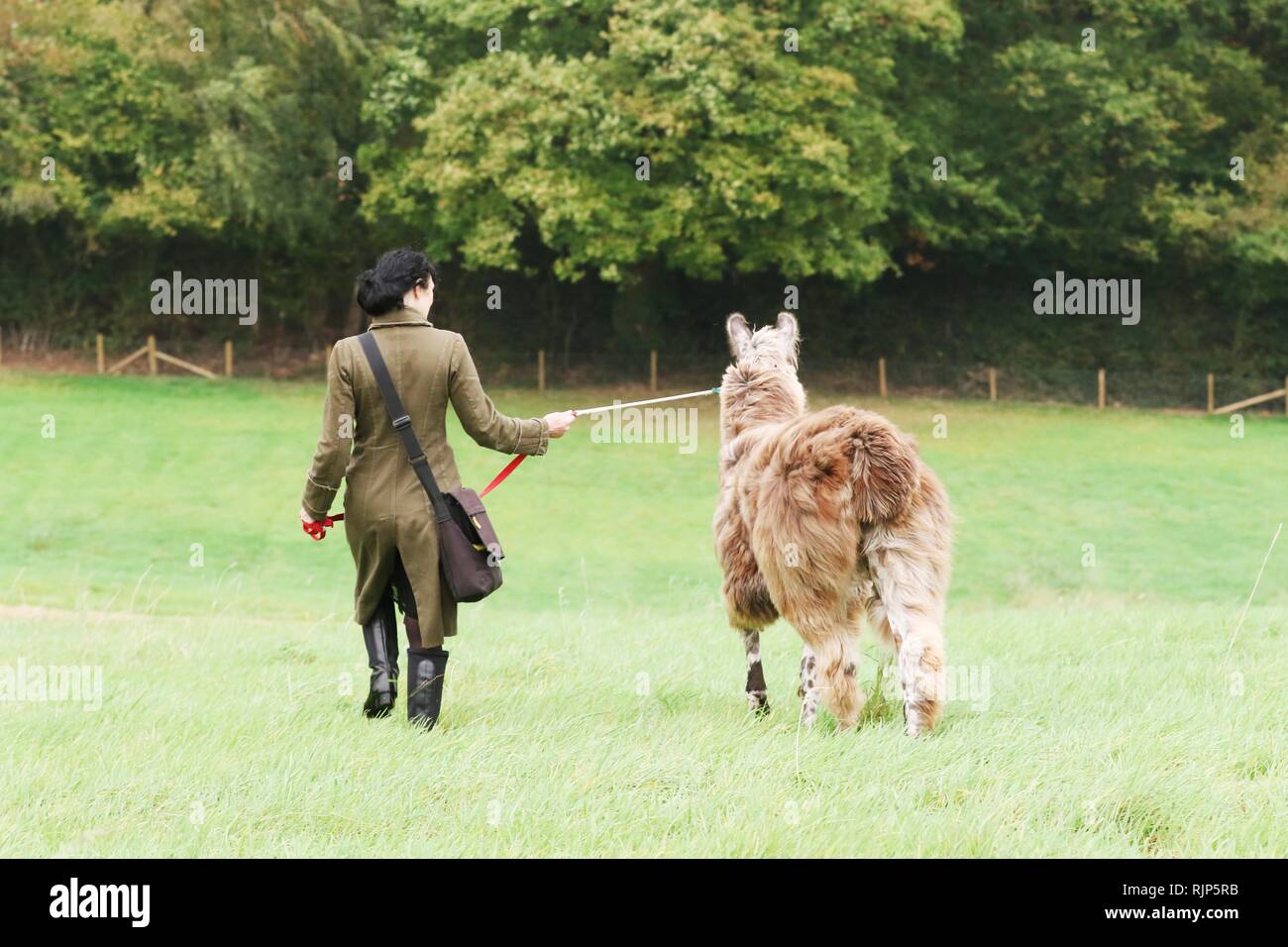Candia mccormack -Fotos und -Bildmaterial in hoher Auflösung – Alamy
