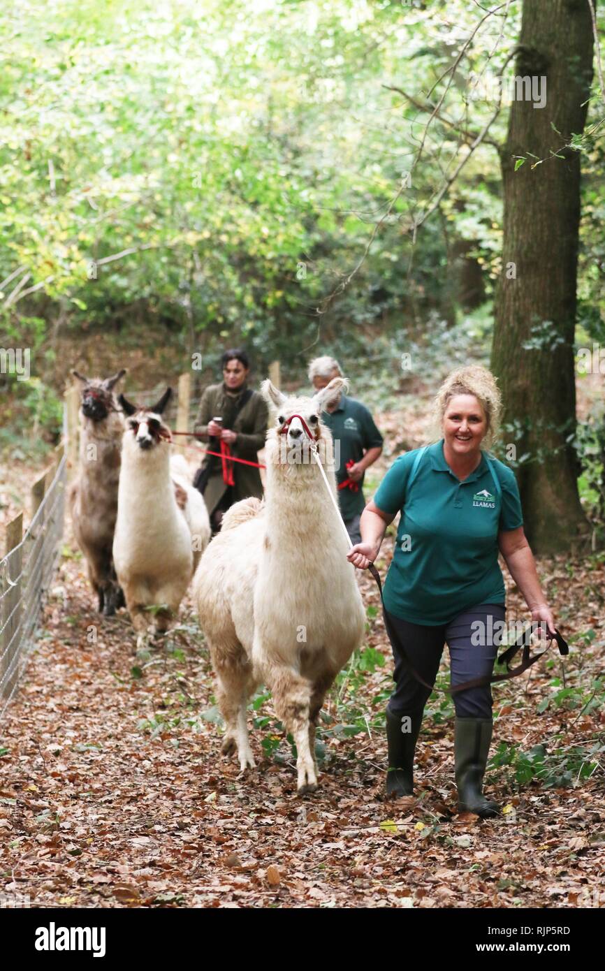 Candia mccormack -Fotos und -Bildmaterial in hoher Auflösung – Alamy
