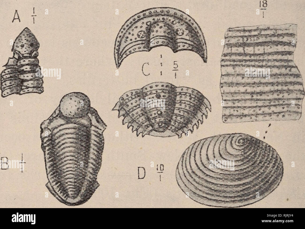 G achy -Fotos und -Bildmaterial in hoher Auflösung – Alamy