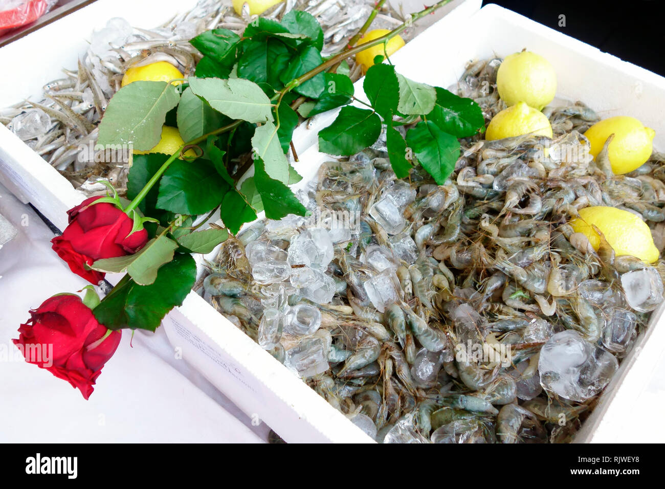 Fisch an einem stand -Fotos und -Bildmaterial in hoher Auflösung – Alamy