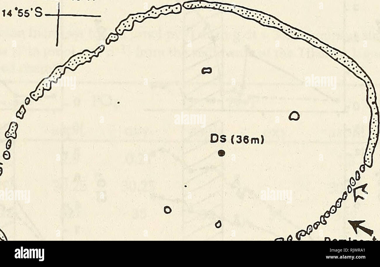 . Atoll Forschung Bulletin. Korallenriffe und Inseln; Meeresbiologie ...