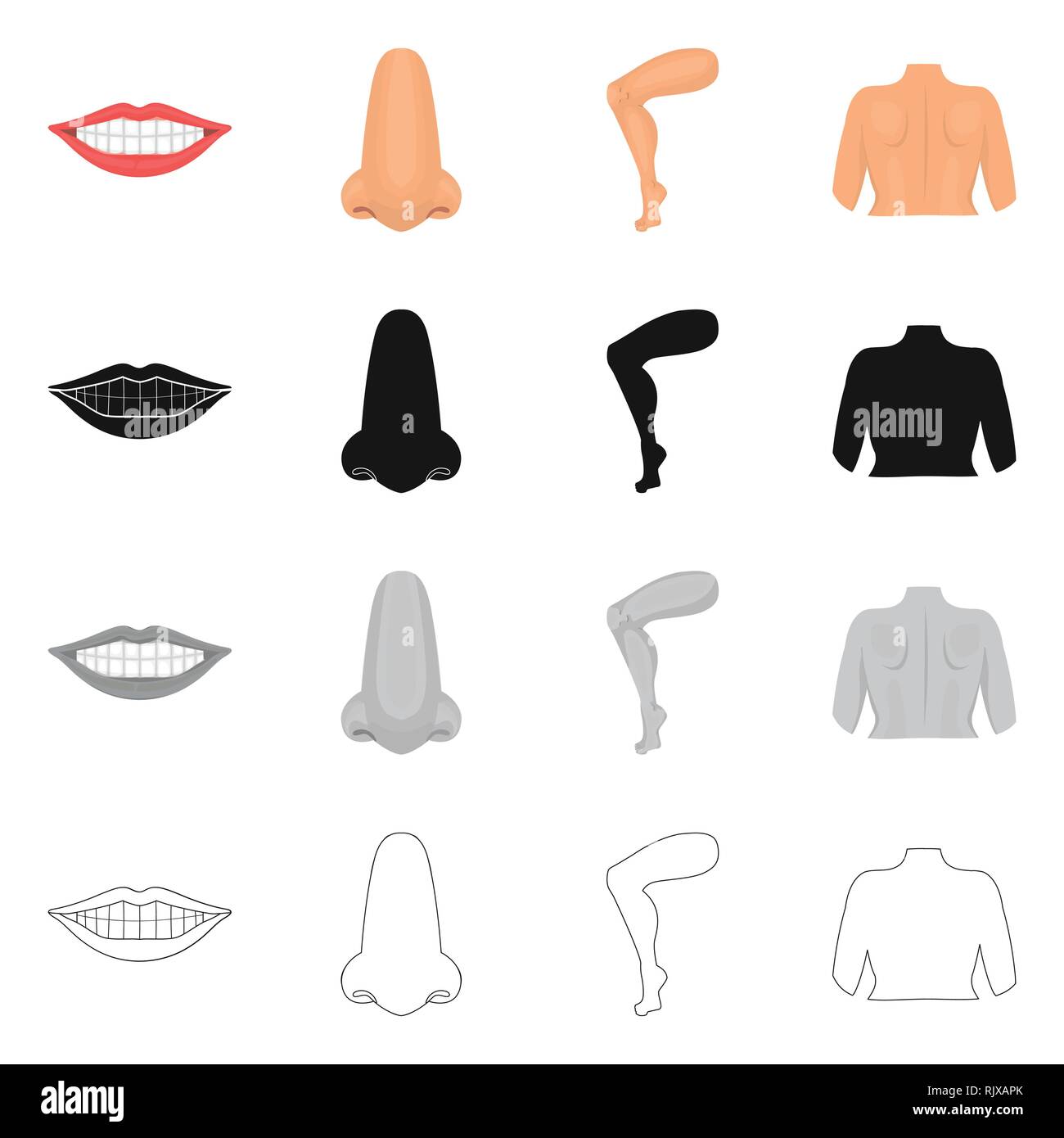 Vector Illustration von Körper und teil-Logo. Satz von Körper und ...