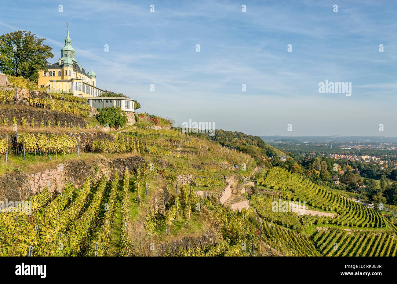 Radebeul Weinberge im Herbst, Elbe, Sachsen, Deutschland, mit dem ...