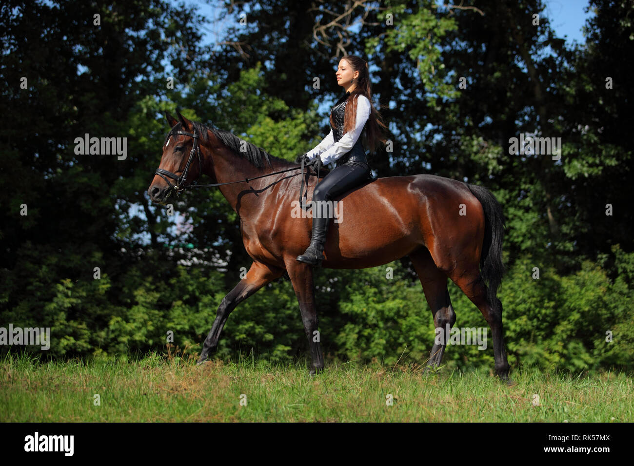 Schönes Modell Mädchen Reitet Mit Pferd Im Wald Lichtung Bei