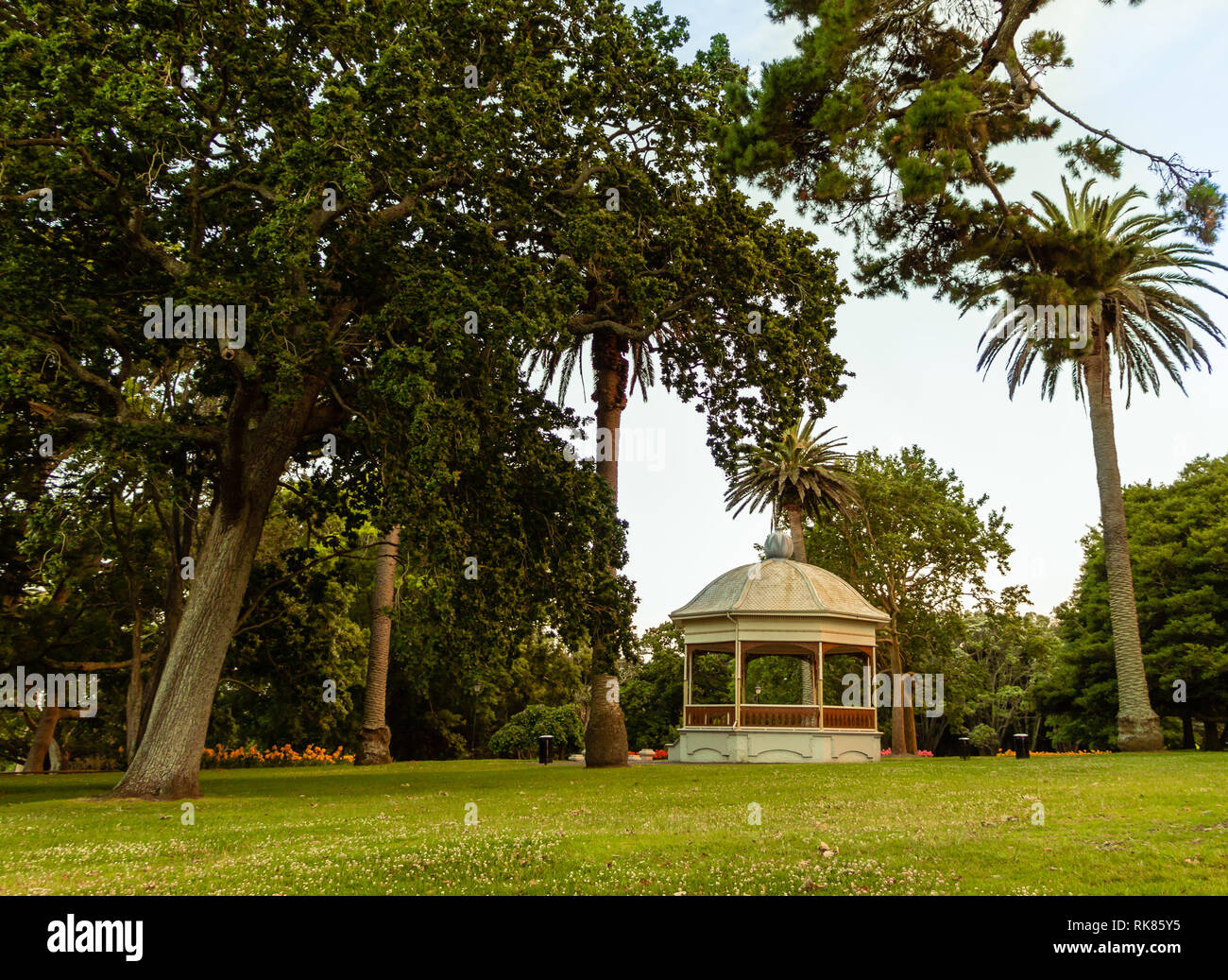 Auckland domain new zealand -Fotos und -Bildmaterial in hoher Auflösung ...
