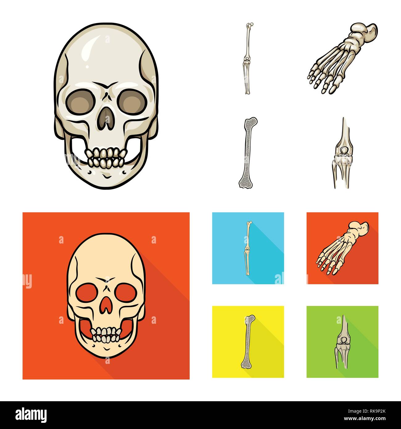 Schädel, Knie, Fuß, Oberschenkel, Tod, gemeinsame, Knöchel, Bony ...