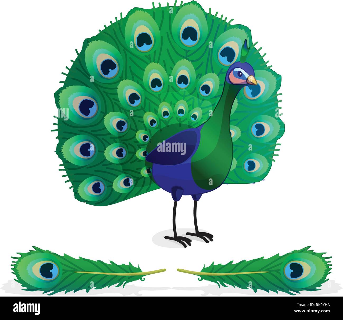 Zoo pfau Stock-Vektorgrafiken kaufen - Alamy