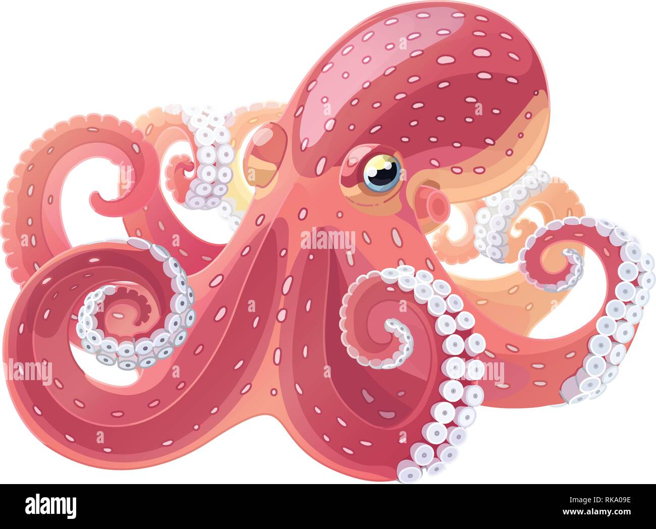 Octopus illustration Stock-Vektorgrafiken kaufen - Alamy