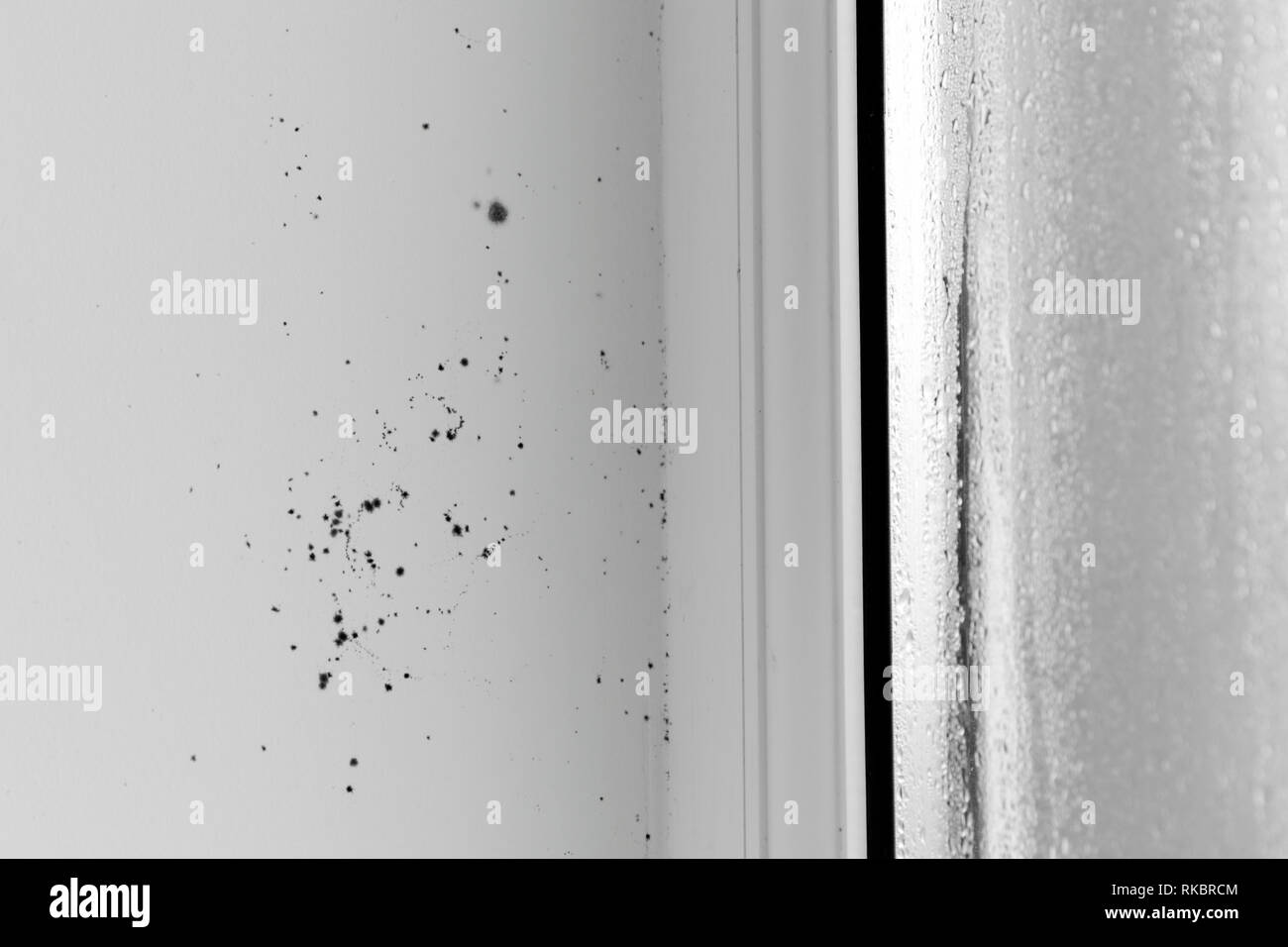 Schlechter Fensteraustausch Fotos Und Bildmaterial In Hoher Auflösung