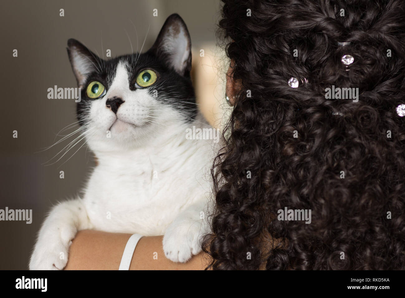 Lockige tiere -Fotos und -Bildmaterial in hoher Auflösung – Alamy