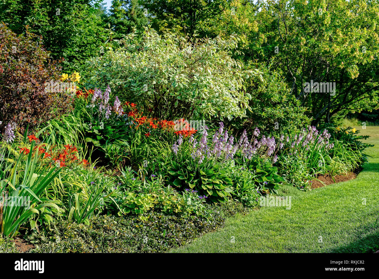 Staudenbeet naturgarten -Fotos und -Bildmaterial in hoher Auflösung – Alamy