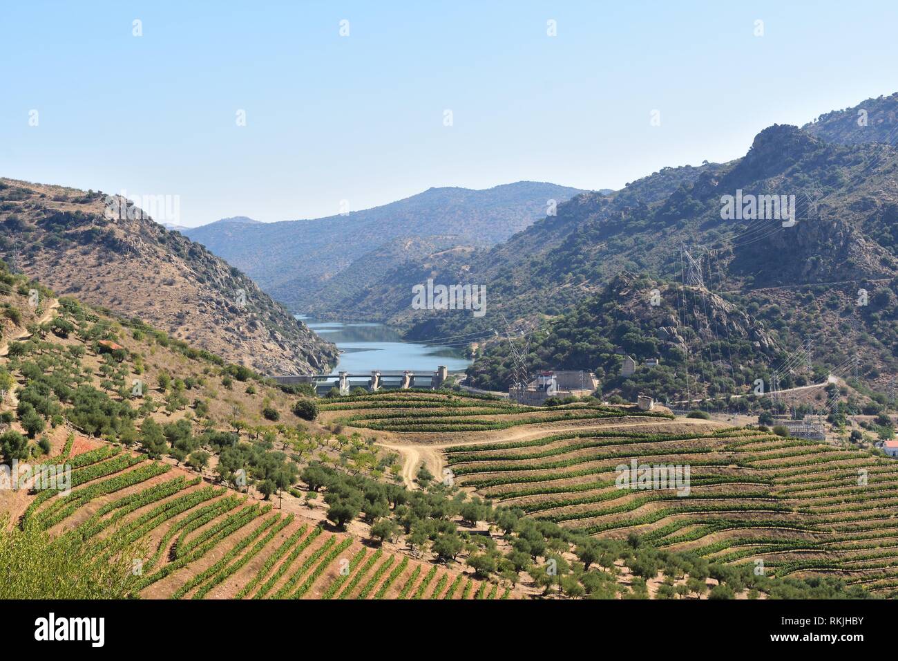 Douro internationaler naturpark -Fotos und -Bildmaterial in hoher ...