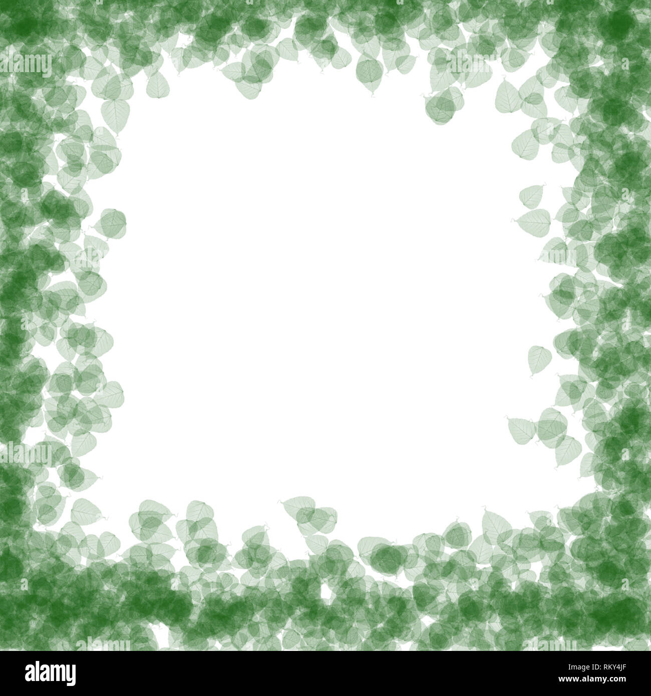 Rahmen der wahl -Fotos und -Bildmaterial in hoher Auflösung – Alamy