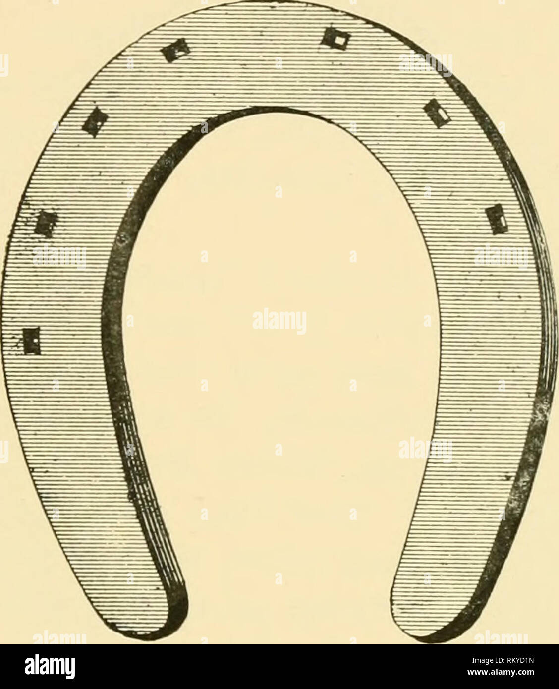 . Die Kunst des Pferd Schneeschuhwandern. Horseshoeing Hufe; CHR 1905; PRO McNeil, John H ...
