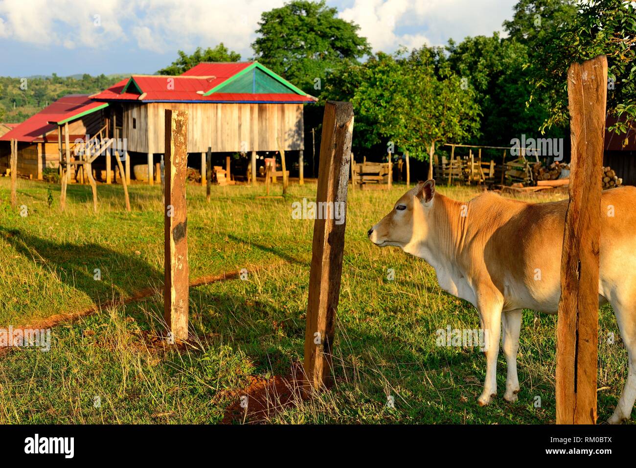 Dak dam -Fotos und -Bildmaterial in hoher Auflösung – Alamy