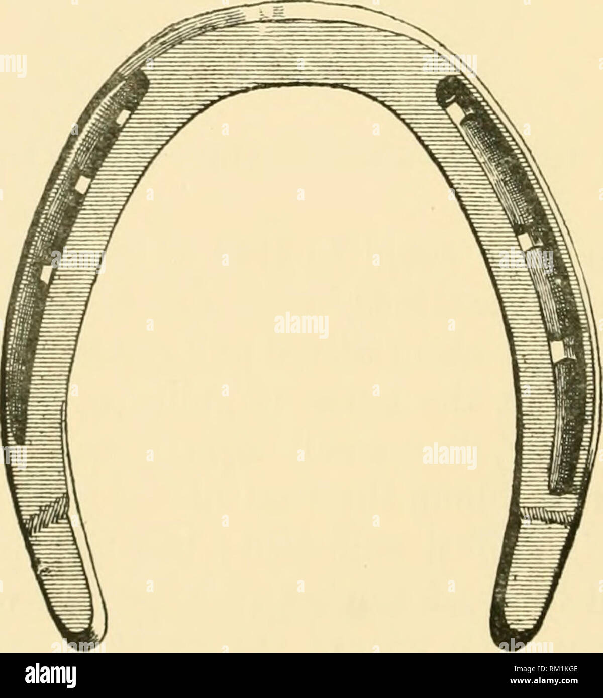 . Die Kunst des Pferd Schneeschuhwandern. Horseshoeing Hufe; CHR 1905; PRO McNeil, John H ...