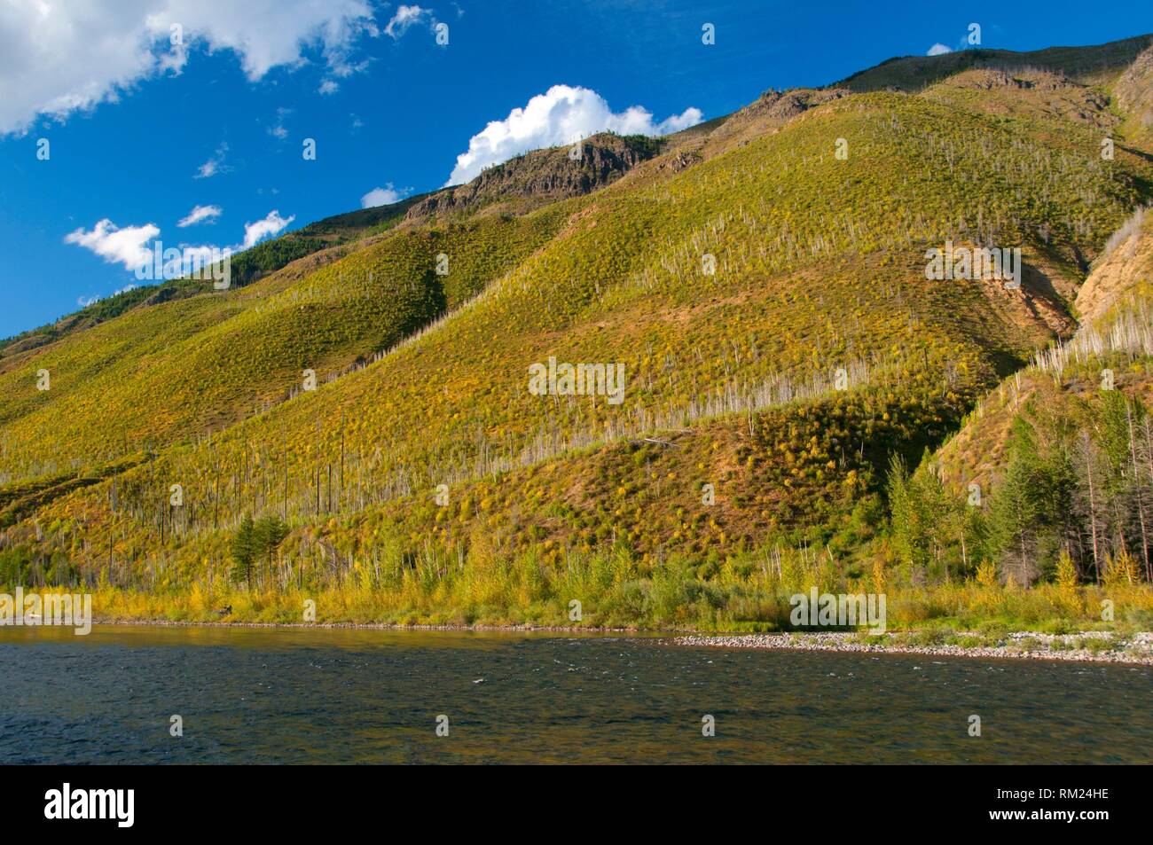 Nf flathead river -Fotos und -Bildmaterial in hoher Auflösung – Alamy