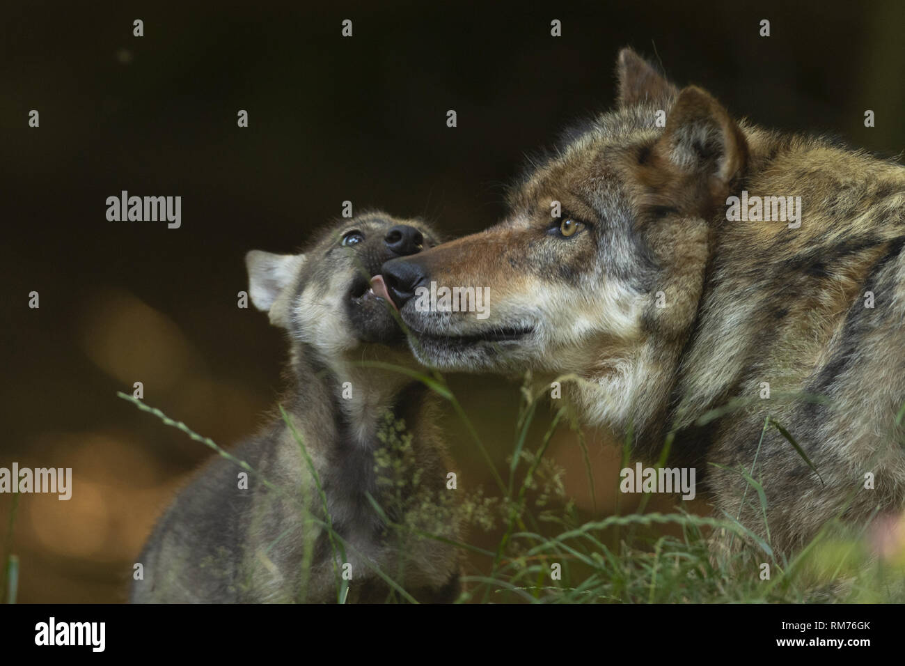 Deutschland sommer -Fotos und -Bildmaterial in hoher Auflösung – Alamy