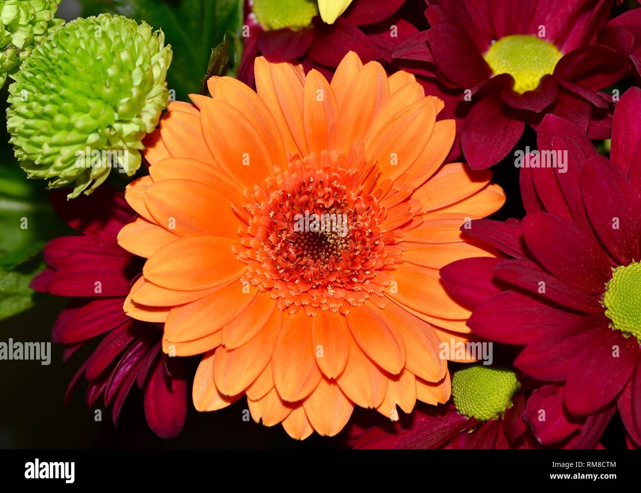 Knopf pom -Fotos und -Bildmaterial in hoher Auflösung – Alamy