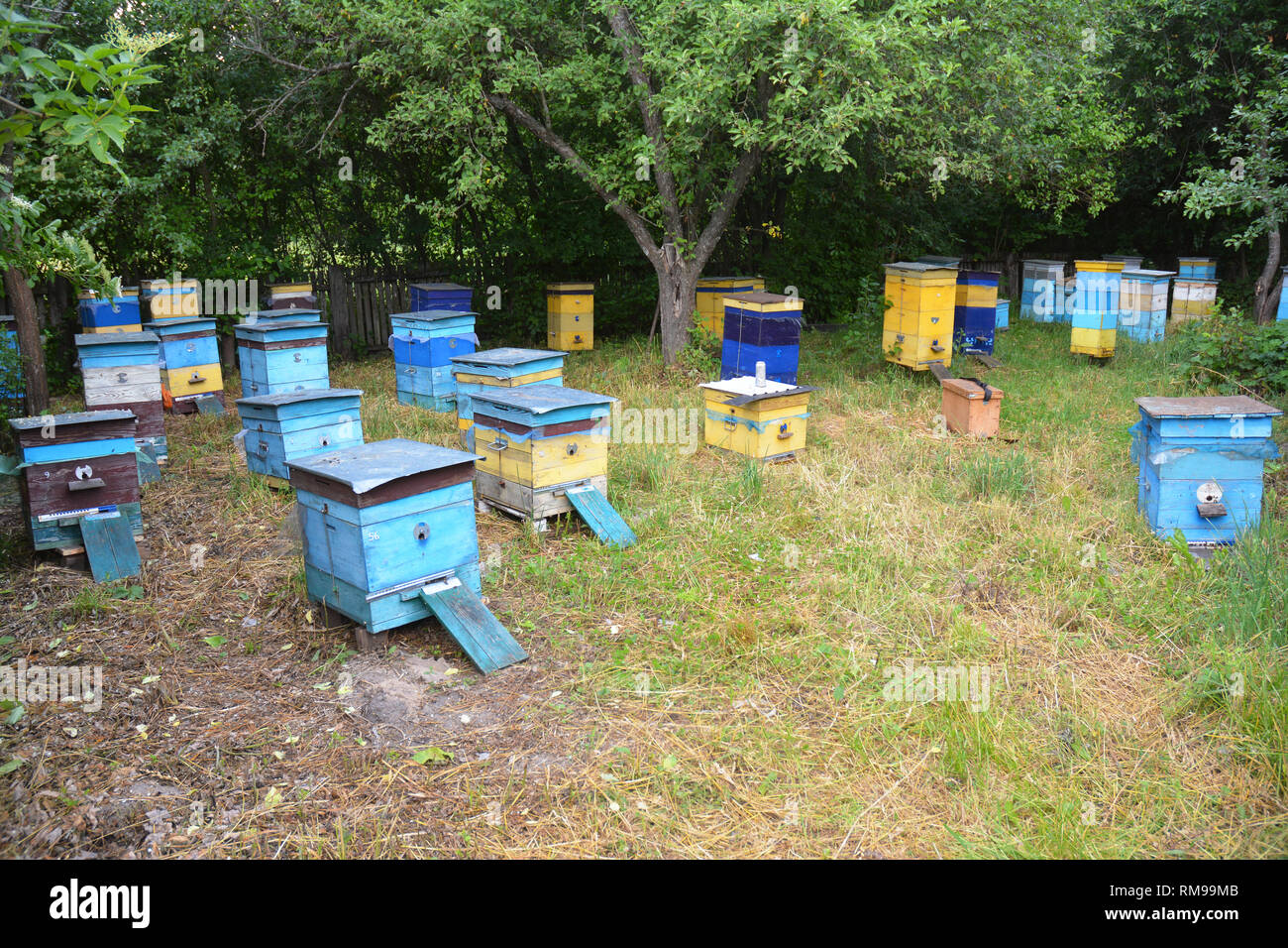 Bienenstock voller honig -Fotos und -Bildmaterial in hoher Auflösung ...