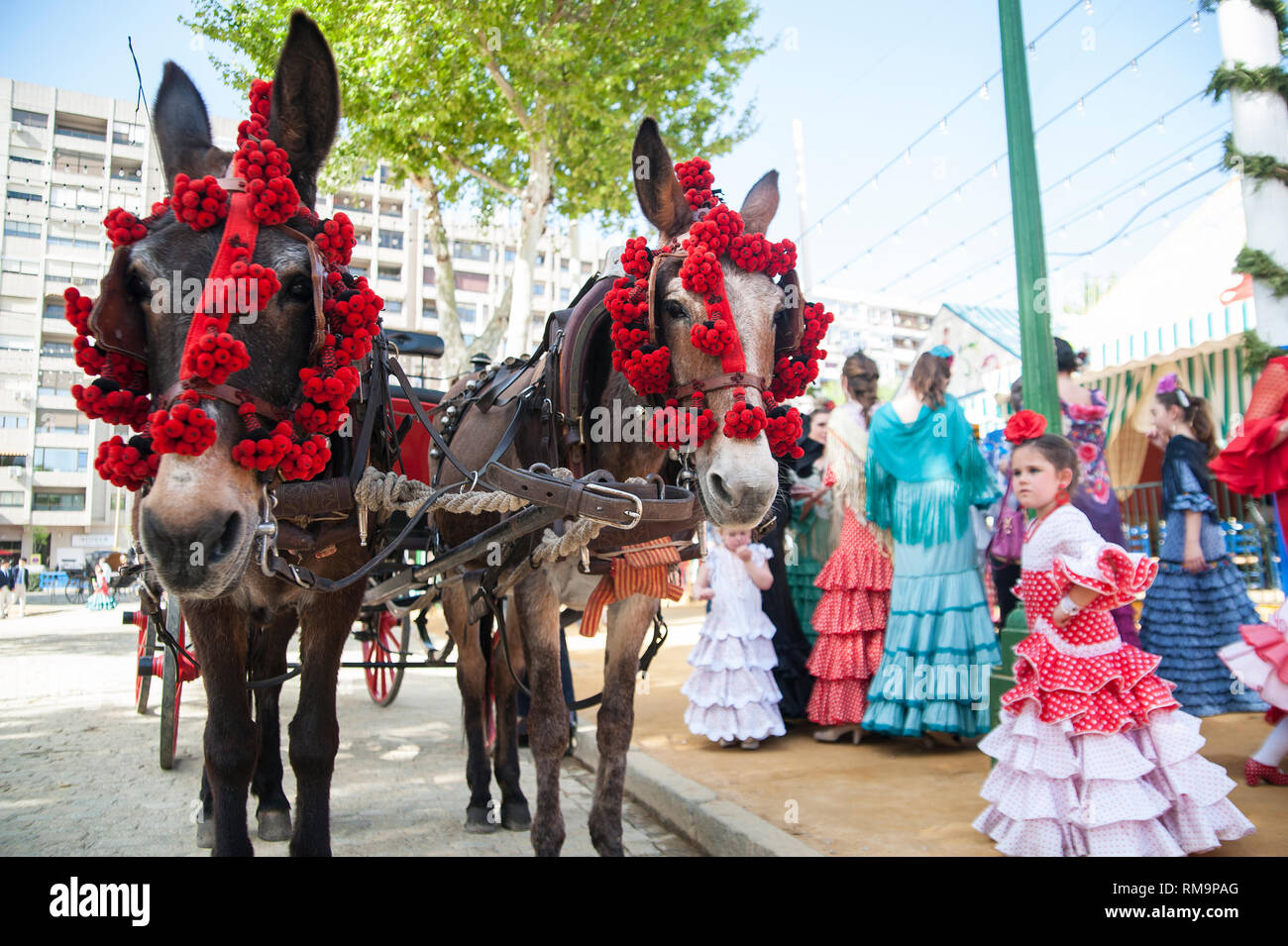 Spanien, Sevilla: Die Feria de April, im April, ist das wichtigste ...
