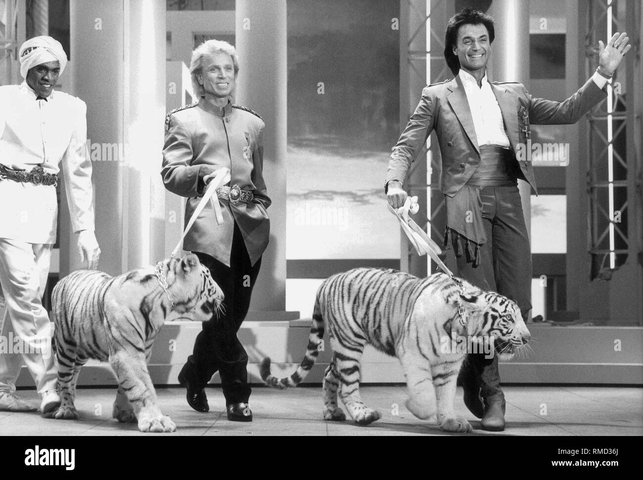 Siegfried and roy tiger -Fotos und -Bildmaterial in hoher Auflösung – Alamy